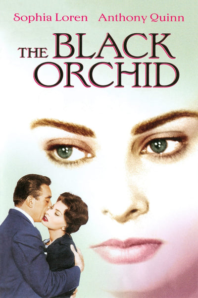The Black Orchid (1958) - Sophia Loren Colorized Version DVD – Elvis ...